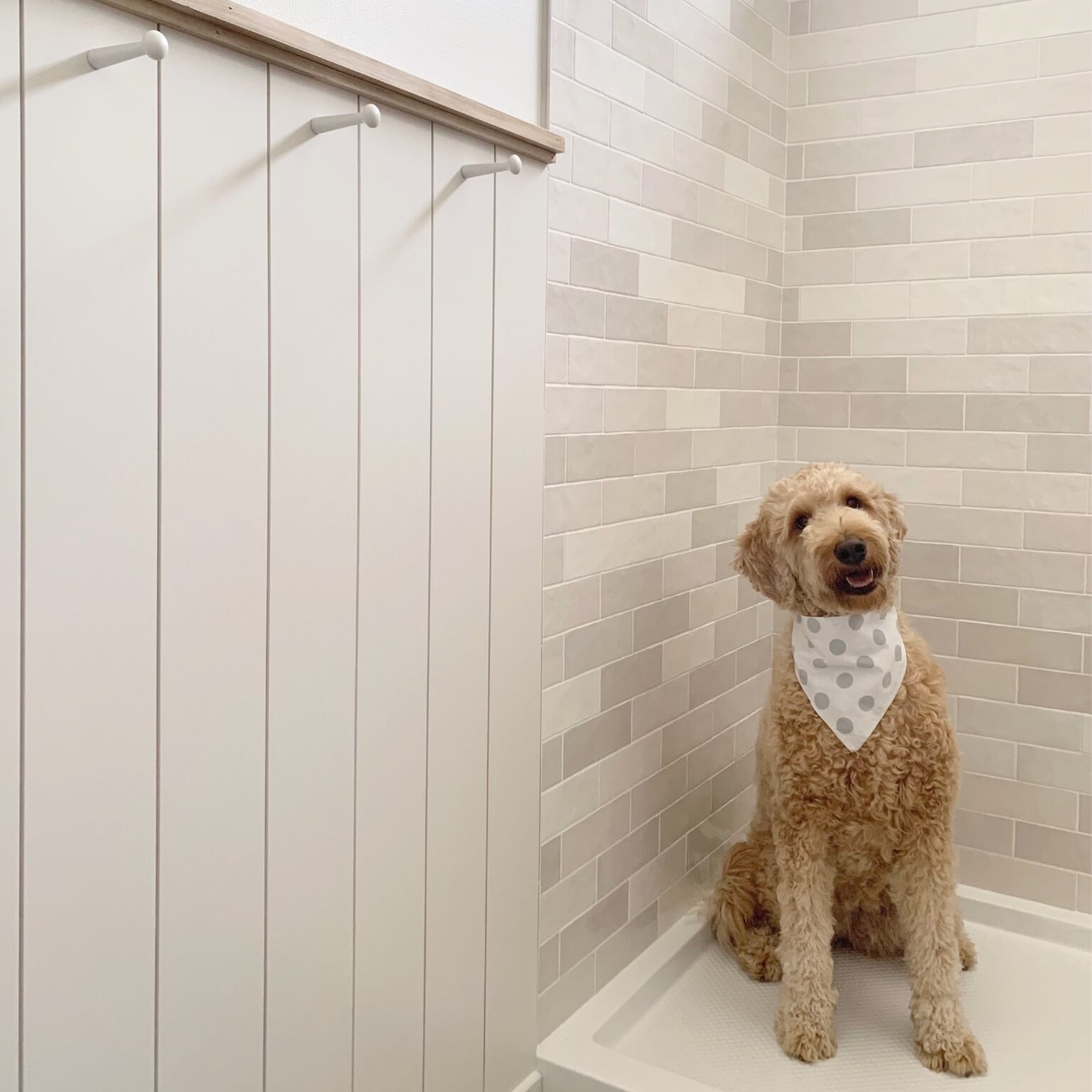 Tile Pattern Names: 15 Best Types of Layout Designs
