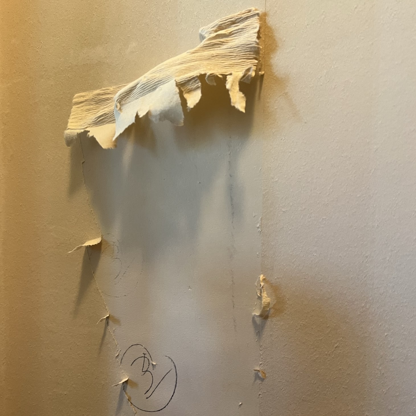 How to Remove Wallpaper with a Steamer