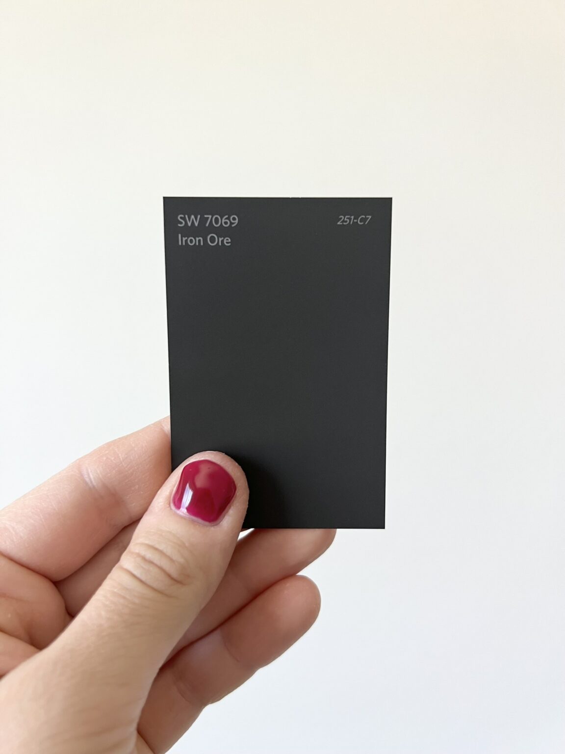 Sherwin Williams Iron Ore: Paint Color Review - haus & hand